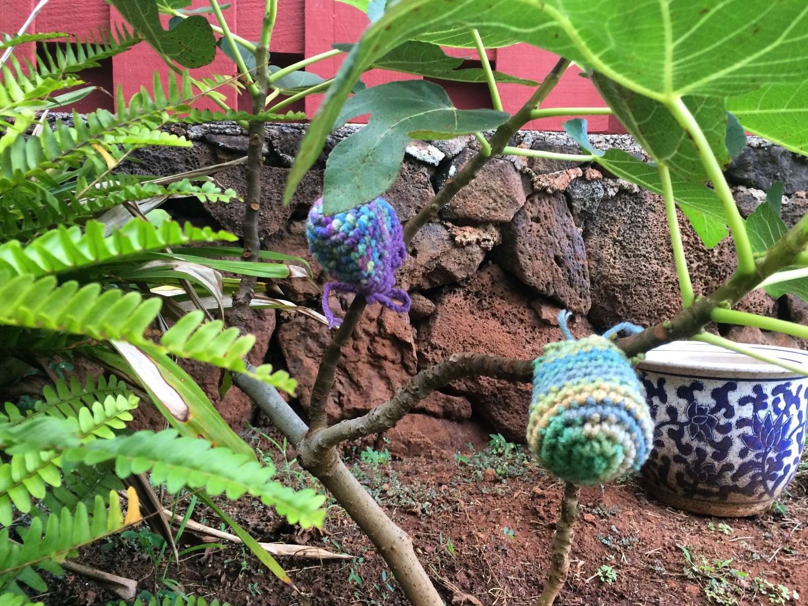 Knitted fig covers | Survival Monkey Forums